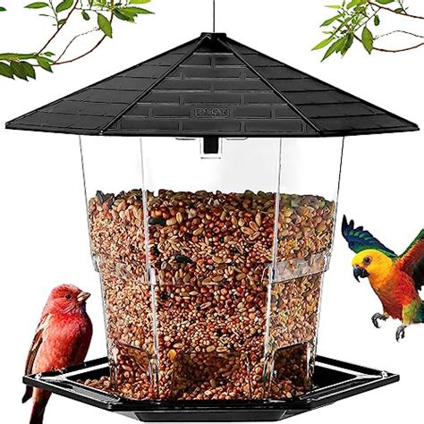 Types Of Bird Feeders Here S What You Need To Know Birds Wetlands