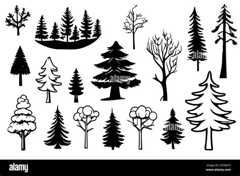 Tree Sketches Set Different Types Hand Drawn Vector Illustration