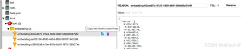 Langchain4j框架 Java程序员的大模型框架（二）redisembeddingstore Csdn博客