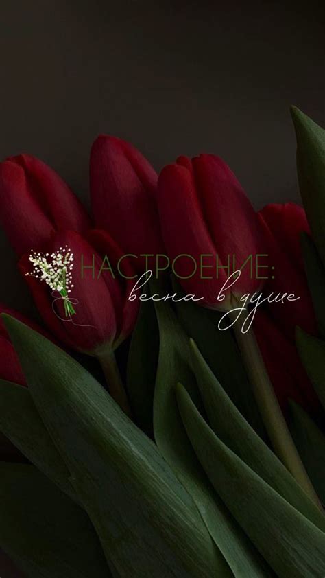 С первым днём весны Creative Instagram Stories Creative Instagram