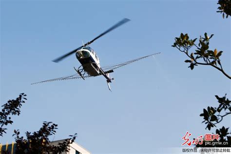 光明图刊美国白蛾围剿记 8 焦点 光明网