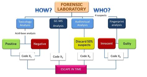 Workflow Diagram In The Forensic Laboratory