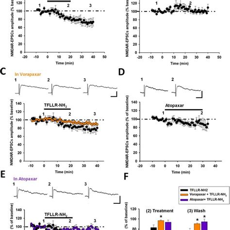 par1 activation inhibits synaptic nmdar mediated transmission
