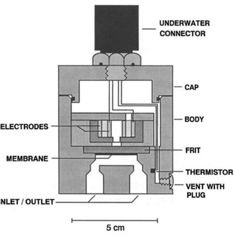 Schematic Diagram Of The Cross Section Of The Fuel Cell Hydrogen Sensor Download Scientific