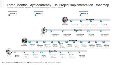 Three Months Cryptocurrency File Project Implementation Roadmap Infographics PDF