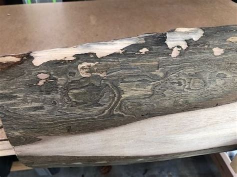 Beginner Question About Bark Removal Live Edge Epoxy LumberJocks Woodworking Forum