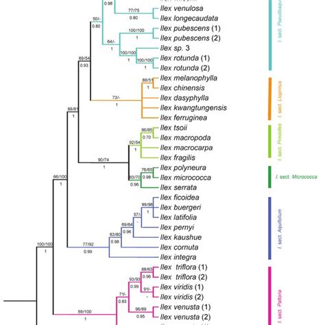 The Ml Tree Inferred From The Nrits Dataset The Name Of Each Clade Of Download Scientific