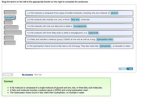 Mastering Biology Mb Digestion Reviewing Fat Structure