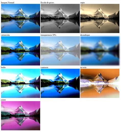 Código De Css Ejemplo De Los Diferentes Filter De Css Sobre Una Imágen