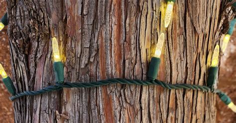 Ecologist At Large Geo Coordinates