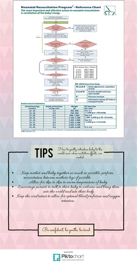 NRP TIPS Reference Chart Field Guide Encouragement