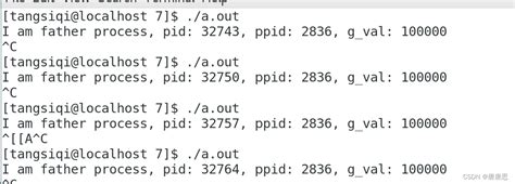 【环境变量】命令行参数 概念 理解 命令行参数表 Bash进程bash 命令行参数 Csdn博客