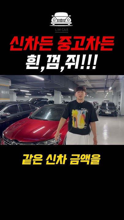 신차든 중고차든 흰껌쥐 Youtube