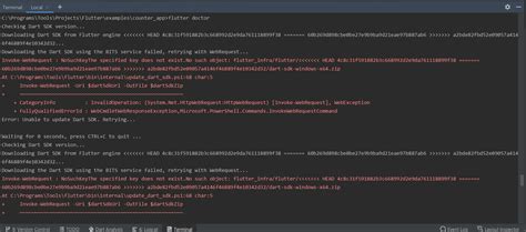 Git Clean Xfd And Now Corrupted Flutter Installation Issue Flutter Flutter GitHub