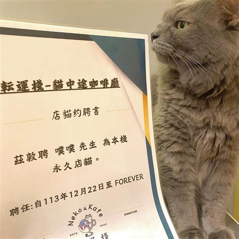 看到這則消息，相信許多人和我們一樣，既驚訝又困惑不解。 原定送養日當天，卻未能如期完成轉運。 第一時間，愛噗噗的人或許會感到委屈，甚至有些氣憤