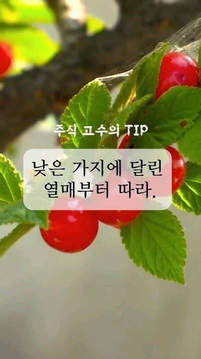 주식 고수의 투자법 래리윌리엄스장단기투자의비밀 Youtube