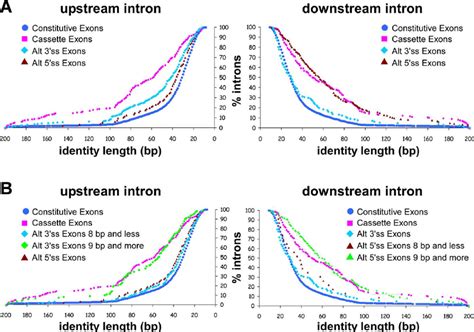 Flanking Introns Conservation Alignment Of Flanking Intron Regions Was