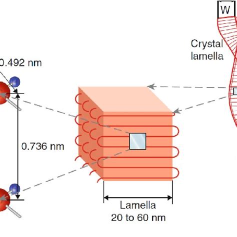 Molecular Structure Schematic Of High Density Polyethylene Hdpe [79