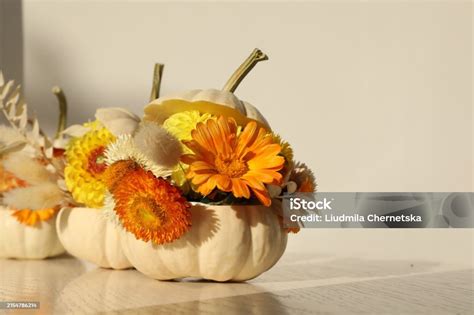 흰색 나무 테이블에 아름 다운 꽃과 이삭이 있는 작은 호박 근접 촬영 텍스트를 위한 공간 0명에 대한 스톡 사진 및 기타 이미지 Istock