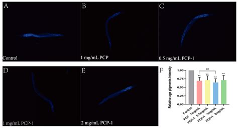 Anti Aging In Caenorhabditis Elegans Of Polysaccharides From Polygonatum Cyrtonema Hua