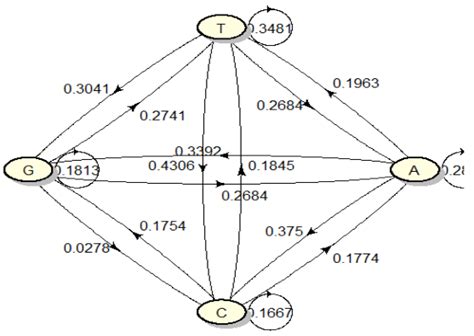 transition digraph of markov chain download scientific diagram