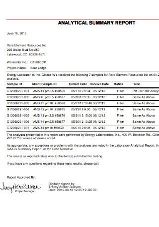 SAMPLE Analytical Reports In PDF MS Word Google Docs Apple Pages