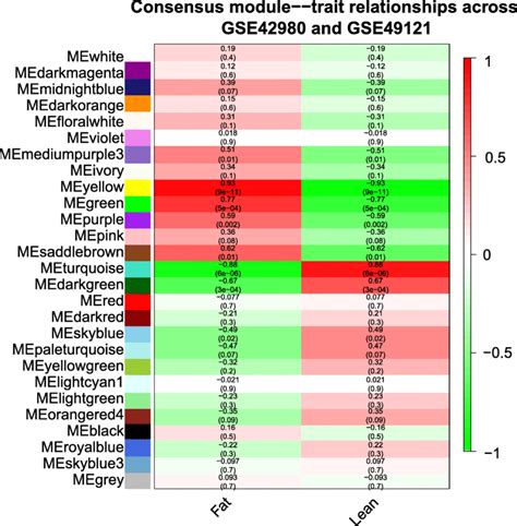 Consensus Module Abdominal Fat Deposition Relationship Red Indicates A Download Scientific