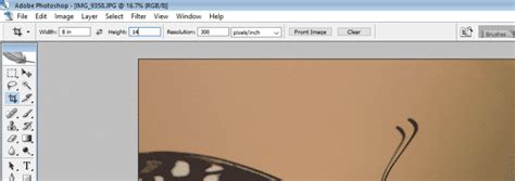 Crop Tool In Photoshop Learn To Use Crop Tool In Photoshop