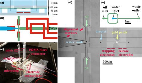 Schematic Side View Of The Microfluidic Chip After Alignment Of The Two Download Scientific