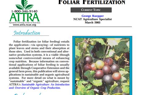 Foliar Fertilization Ofrf Organic Research Hub