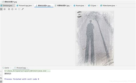 Java实验报告异常处理io流（浙江大学慕课瓮恺）io流异常处理实验报告 Csdn博客