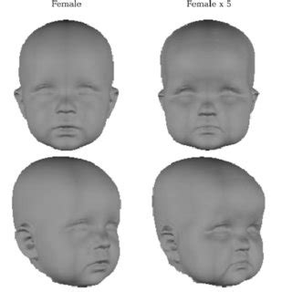 Effect Of Sex On Face Shape The Centre Two Columns Show The Typical Download Scientific
