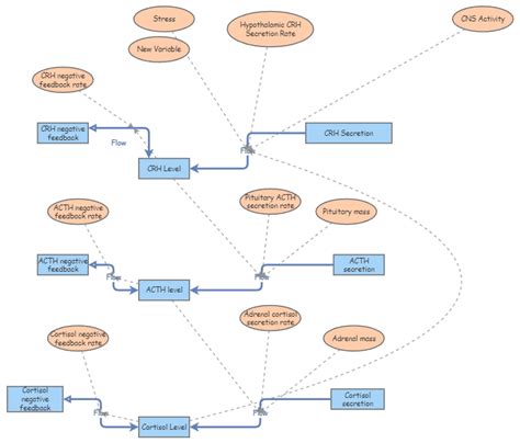 HPA Axis Insight Maker