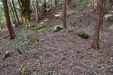 上坂古墳群その67 古墳とかアレ 出張所