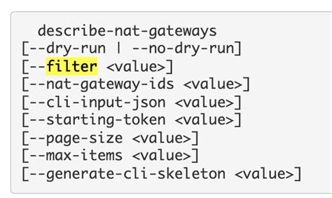 Amazon Web Services How To Find The Nat Gateway Id For A Specific Vpc Using The Aws Cli
