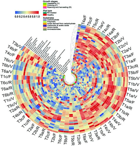 circular heat map and hierarchical cluster analysis based on the