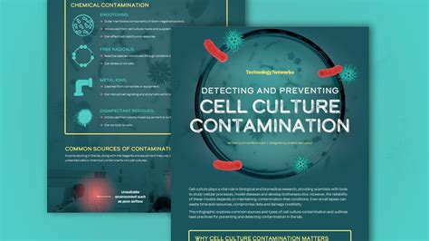 Avoiding Cell Culture Contamination In The Lab Technology Networks