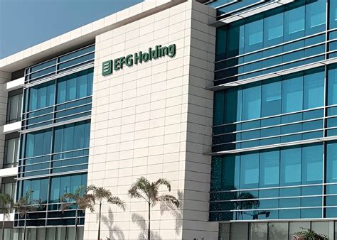 A Deep Dive With Efg Holding
