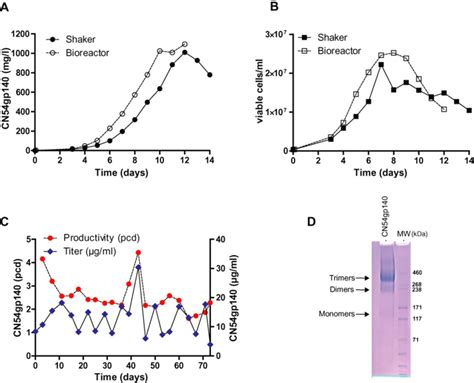 Fed Batch Production Of Cn54gp140 Using An Optimized Bac Based Vector Download Scientific
