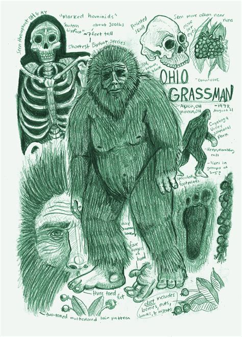 The Ohio Grassman Is A Legendary Cryptid Northwest Bigfoot