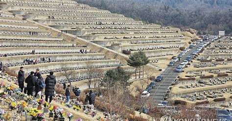 설날 성묘·귀성·귀경·나들이까지전국 곳곳 혼잡
