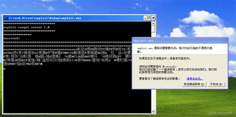 42 Metasploit 开发 Exploit如何利用matesploit进行exploit代码编写 Csdn博客