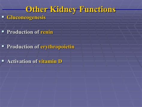 Urinary Patho 2014 Ppt