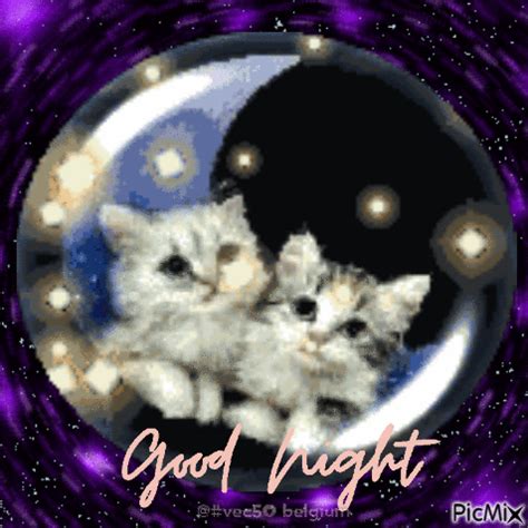 10 Cute And Beautiful Good Night S To Make Your Night Perfect