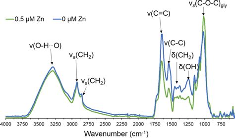 Spectra From Fourier Transform Infrared Spectroscopy Ftir Obtained Download Scientific