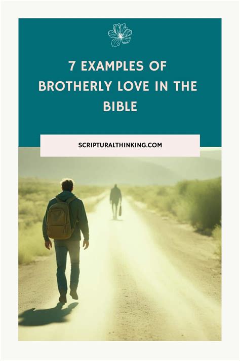 7 Examples Of Brotherly Love In The Bible In 2024 Bible Love