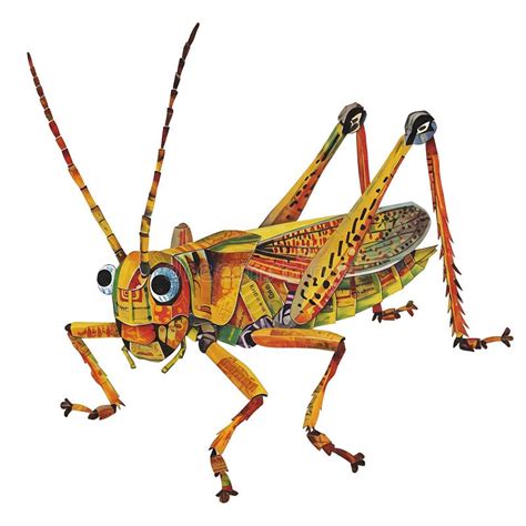 Colorful Grasshopper Art Illustration With Intricate Details On White Background Stock