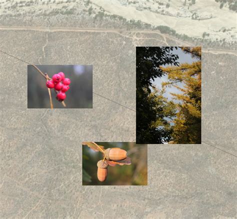 Geotagging Not Geotagged Photos In QGIS Geographic Information Systems Stack Exchange