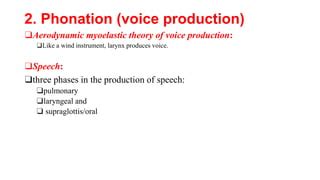 Anatomy Of Larynx Anatomy And Clinical Importance Pptx