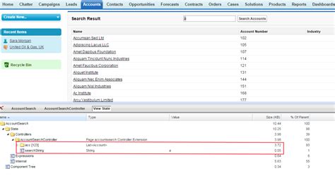 understanding and monitoring visualforce view state